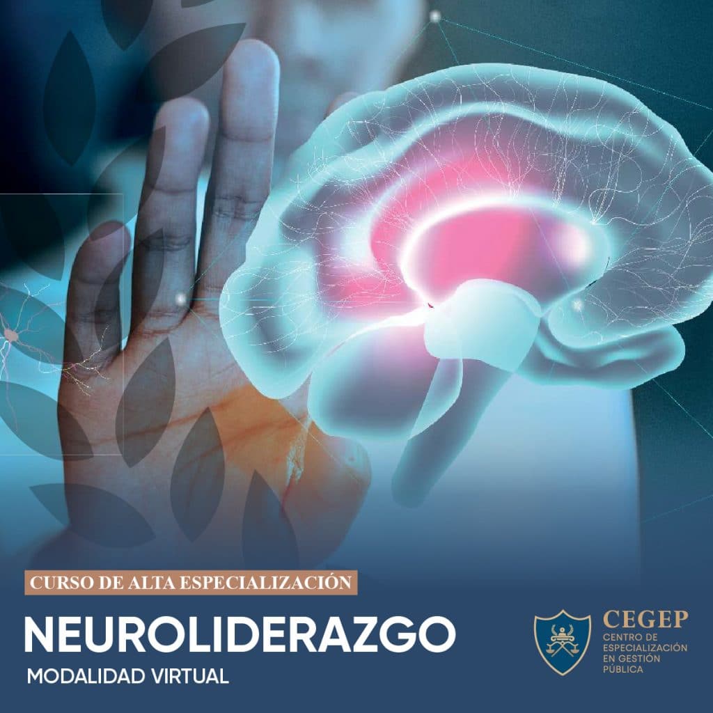 Curso Neuroliderazgo - CEGEP