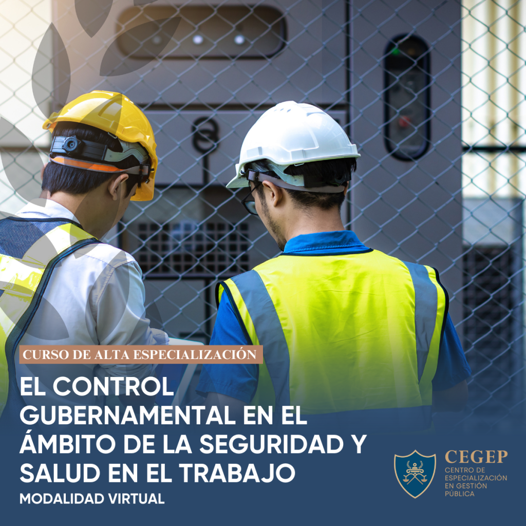 Curso El Control Gubernamental en el Ámbito de la Seguridad y Salud en ...